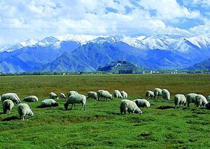 non polluted environment