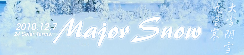 2010 Major Snow