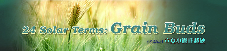 2010 Grain Buds