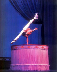 A Brief Introduction to Acrobatic Items